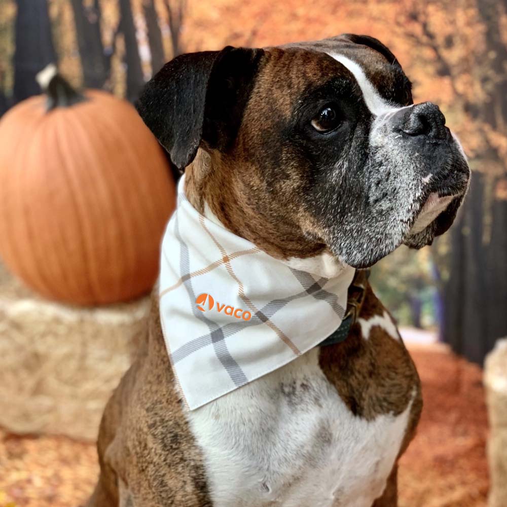 Featured Collection – Vaco Company Store